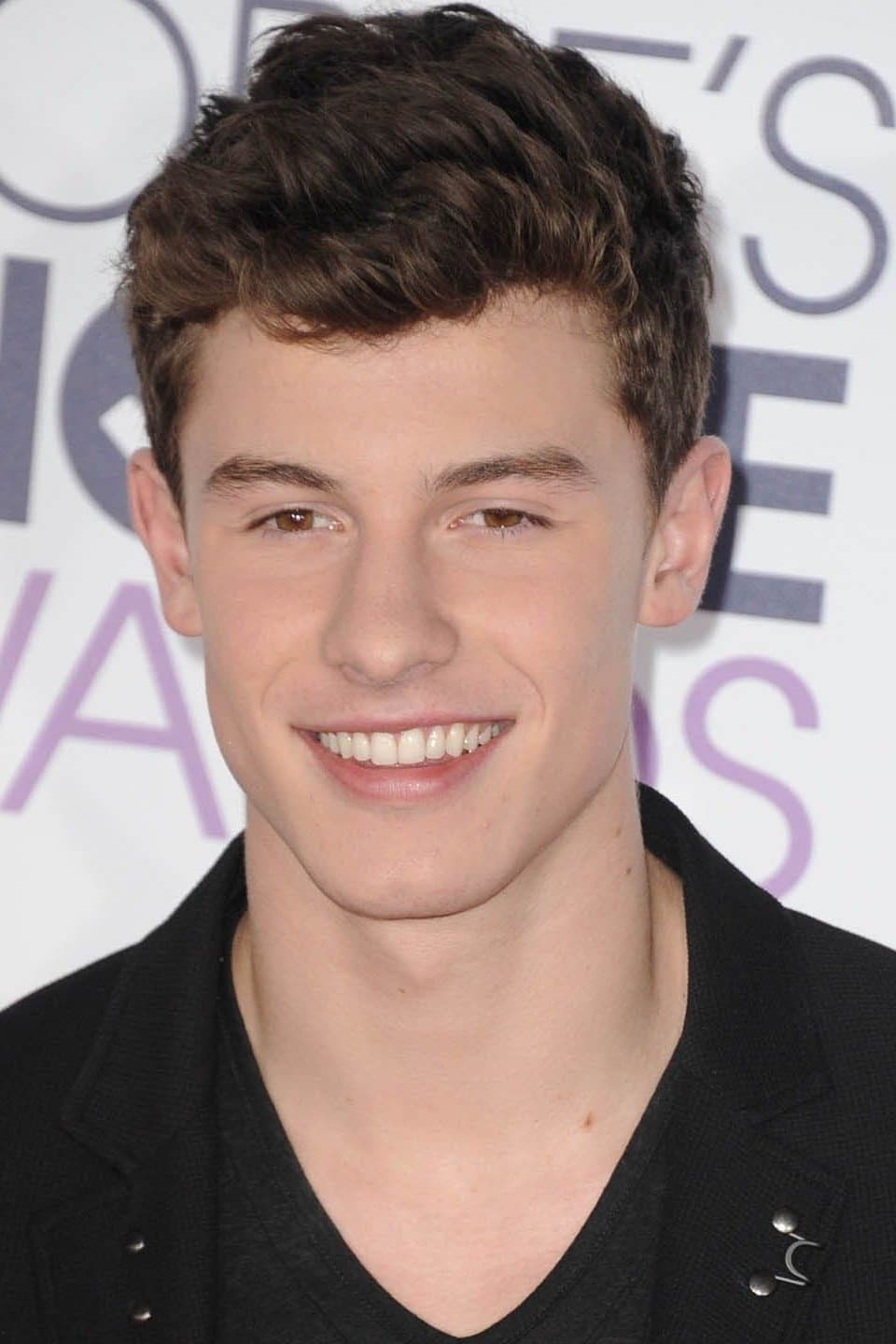 Shawn Mendes Wiki, Biography, Age, Gallery, Spouse and more