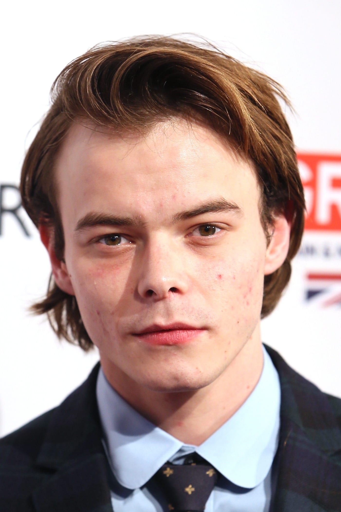 Charlie Heaton Wiki, Biography, Age, Gallery, Spouse and more