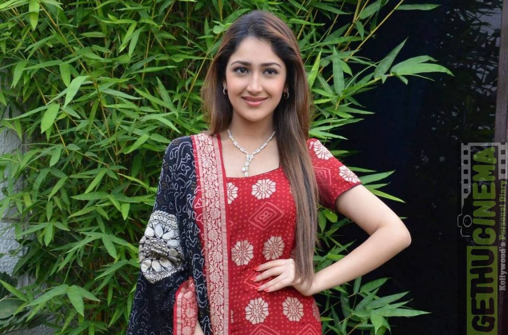 Actress Sayesha Saigal Latest Gallery | Gethu Cinema