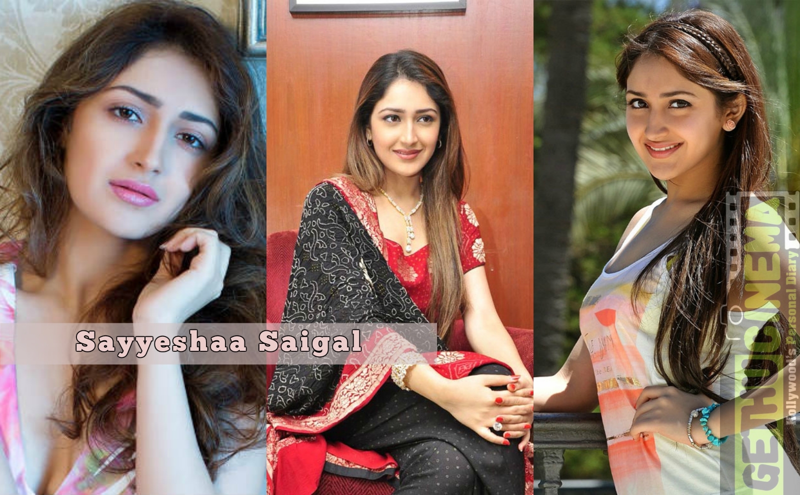 Actress Sayesha|Sayyeshaa Saigal Latest Photos | Gethu Cinema