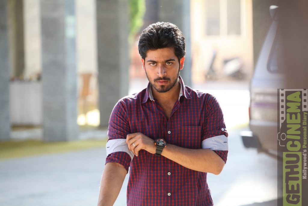 Actor Harish Kalyan latest gallery - Gethu Cinema