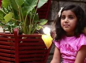 Actress Meena`s Daughter Nainika Stills | Gethu Cinema