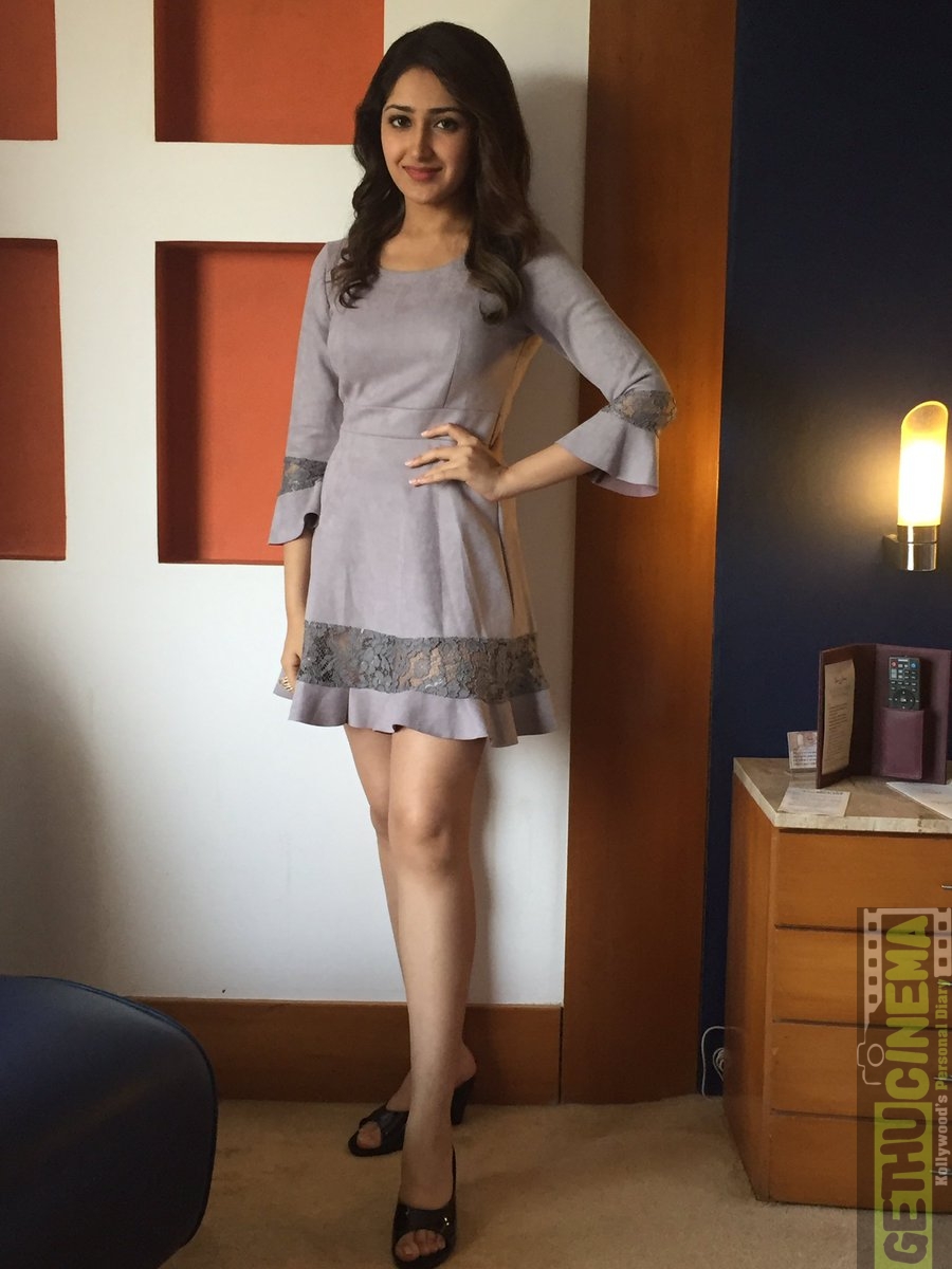 Actress Sayesha|Sayyeshaa Saigal Latest Photos | Gethu Cinema