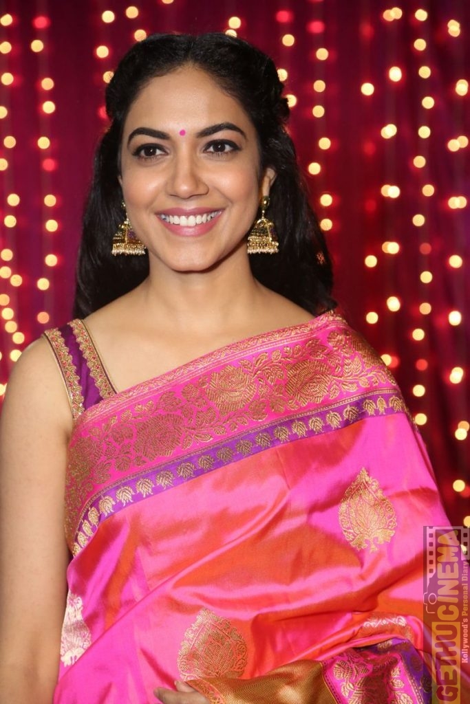 Zee Apsara Awards in 2017 Celebrity Gallery | Gethu Cinema