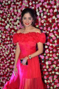 Zee Apsara Awards in 2017 Celebrity Gallery | Gethu Cinema