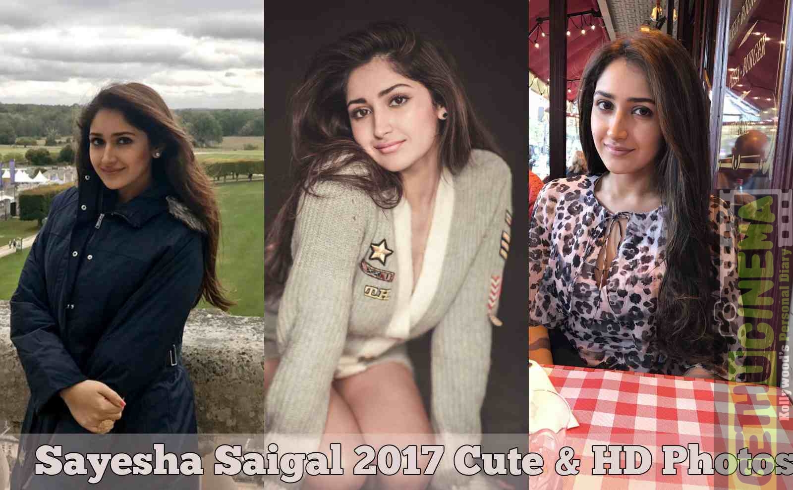Actress Sayesha Saigal 2017 Cute & HD Photos | Gethu Cinema