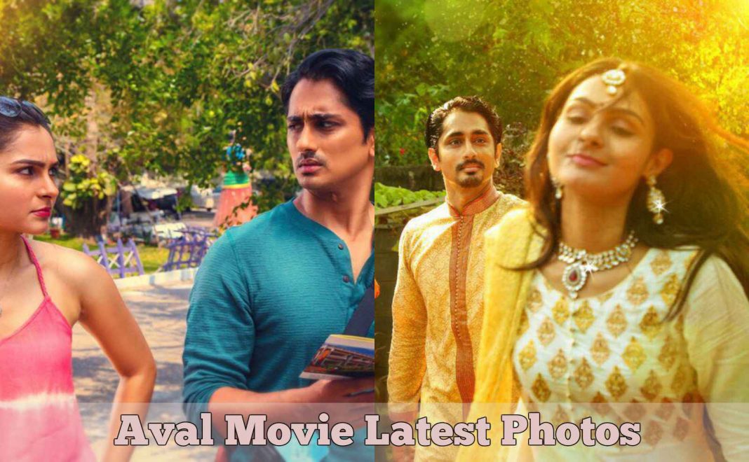 Aval Tamil Movie Latest Gallery | Siddharth, Andrea Jeremiah - Gethu Cinema