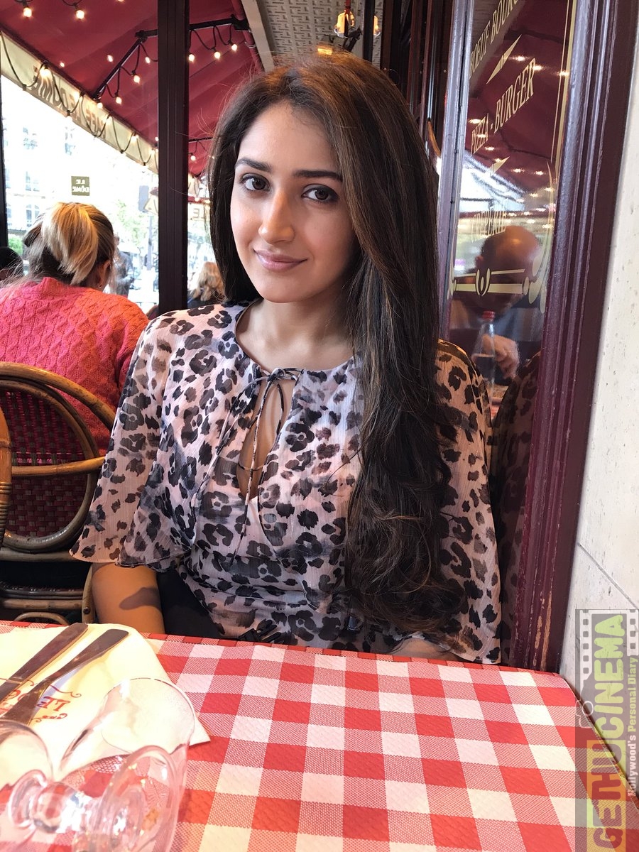 Actress Sayesha Saigal 2017 Cute & HD Photos | Gethu Cinema