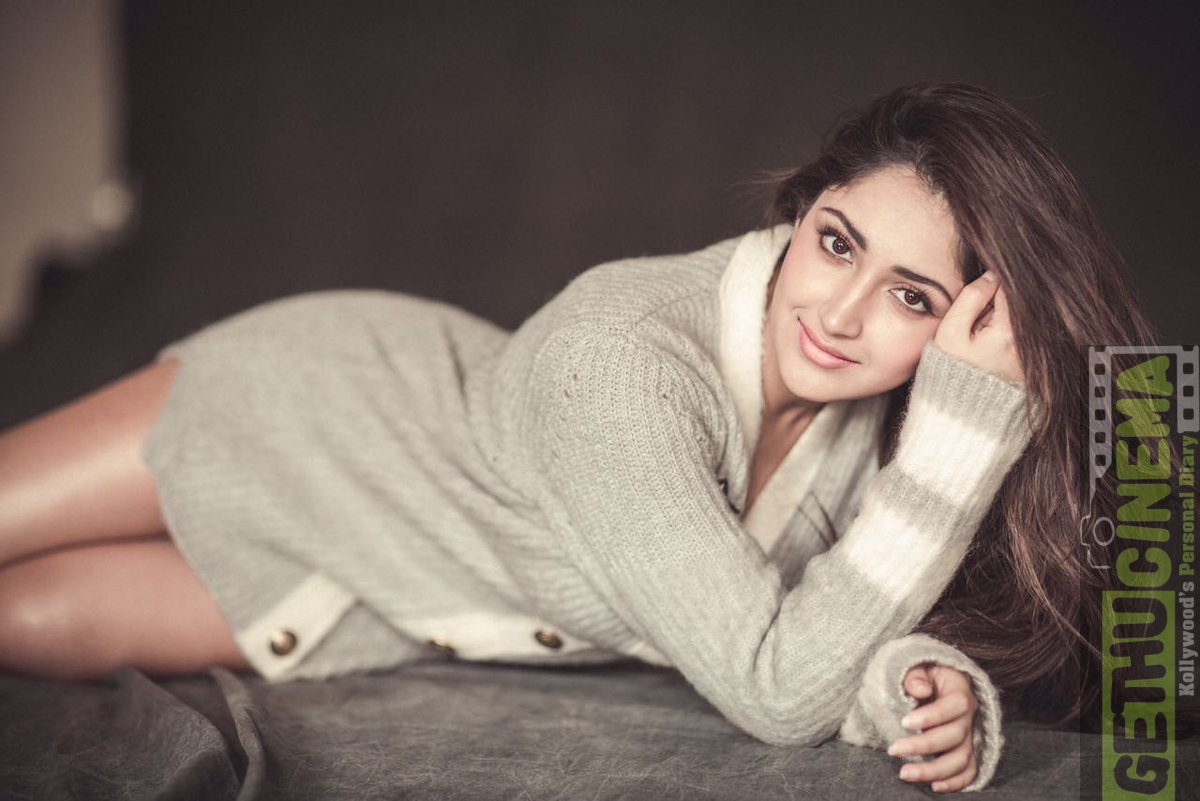 Actress Sayesha Saigal 2017 Cute & HD Photos | Gethu Cinema