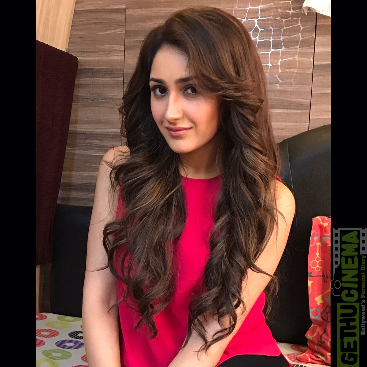 Actress Sayesha Saigal 2017 Cute & HD Photos | Gethu Cinema