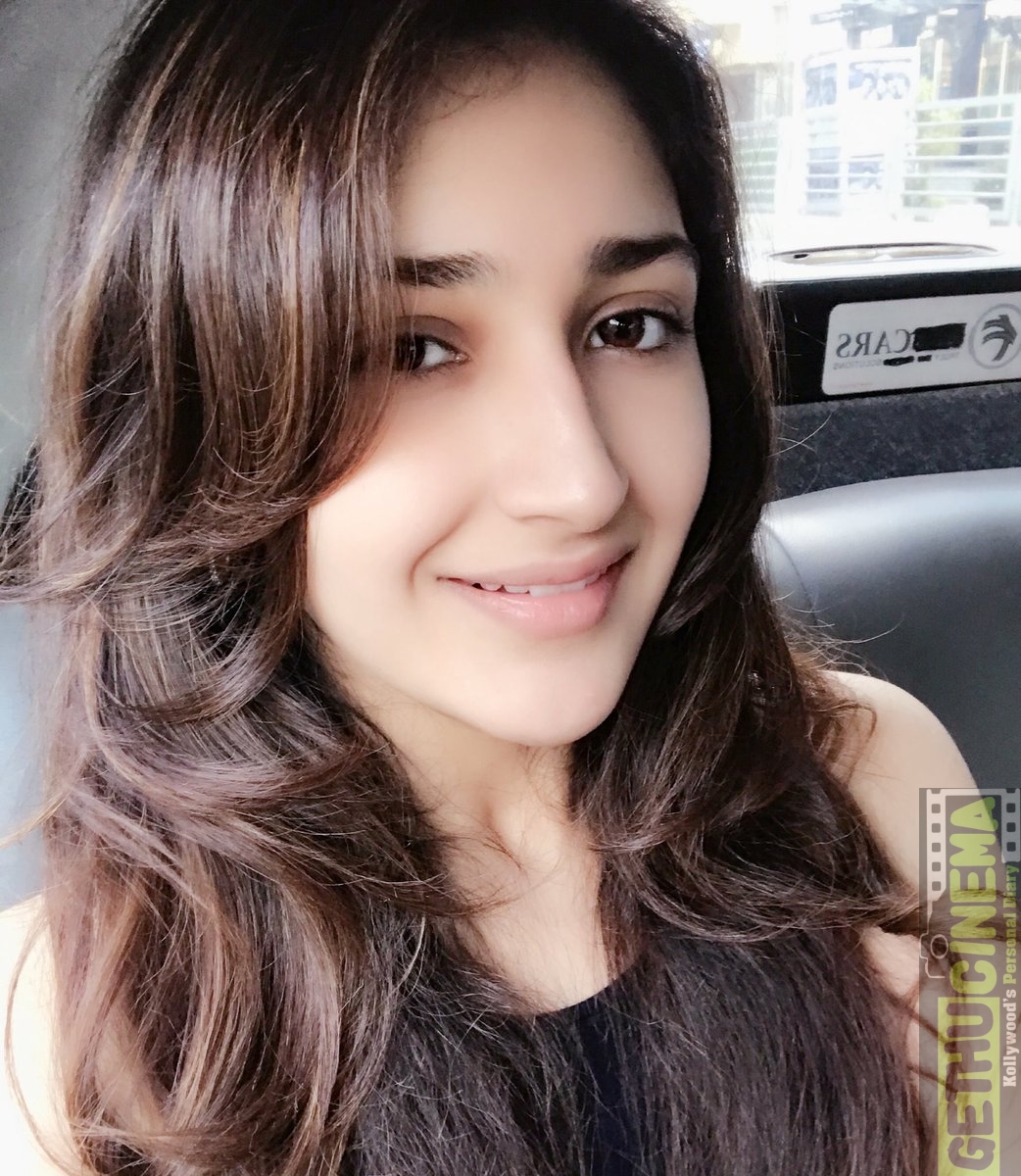 Actress Sayesha Saigal 2017 Cute & HD Photos | Gethu Cinema