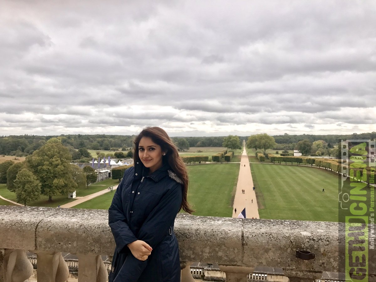 Actress Sayesha Saigal 2017 Cute & HD Photos | Gethu Cinema