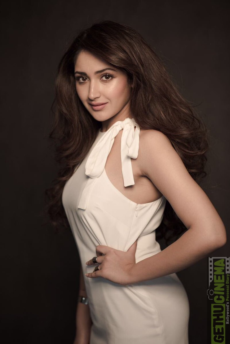 Actress Sayesha Saigal 2017 Cute & HD Photos | Gethu Cinema