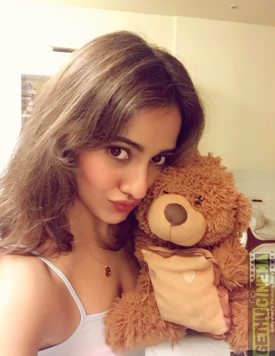 Solo Movie Actress Neha Sharma 2017 Latest Gallery | Gethu Cinema