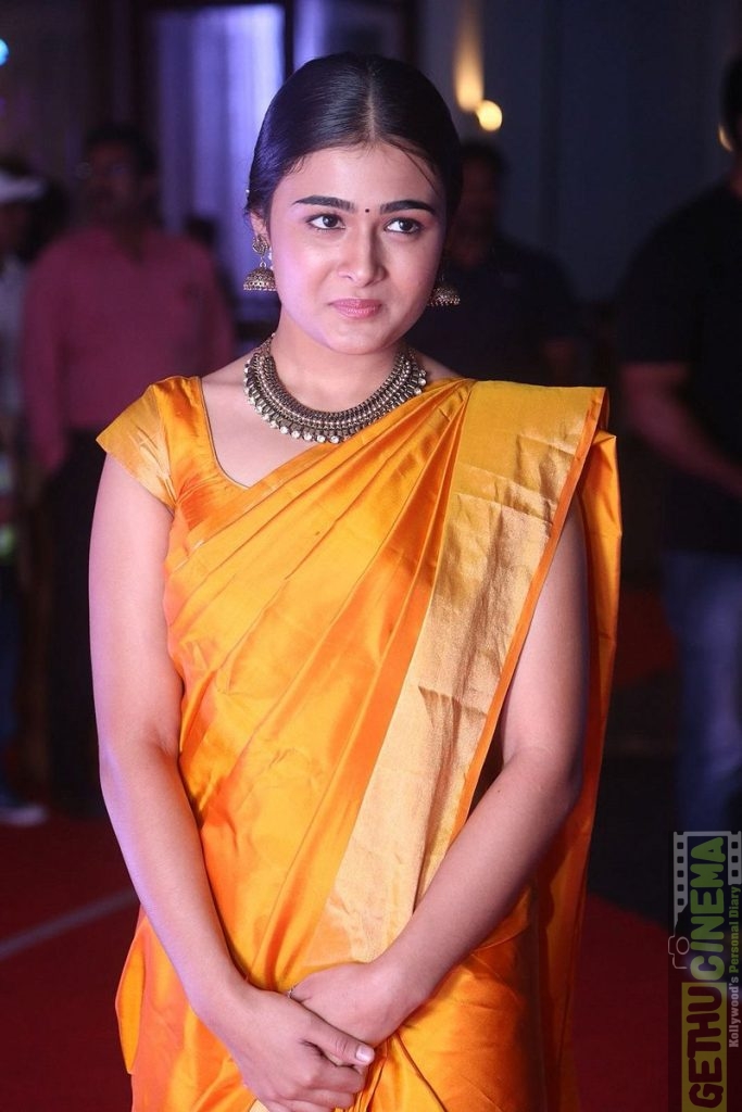 Arjun Reddy Actress Shalini Pandey Cute & HD Photos | Gethu Cinema