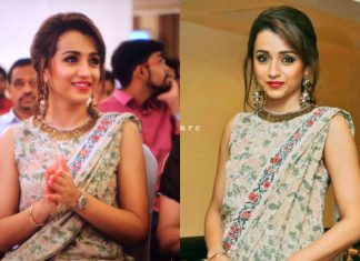 Actress Trisha Wiki, Biography, Age, News, Gallery, Videos & more