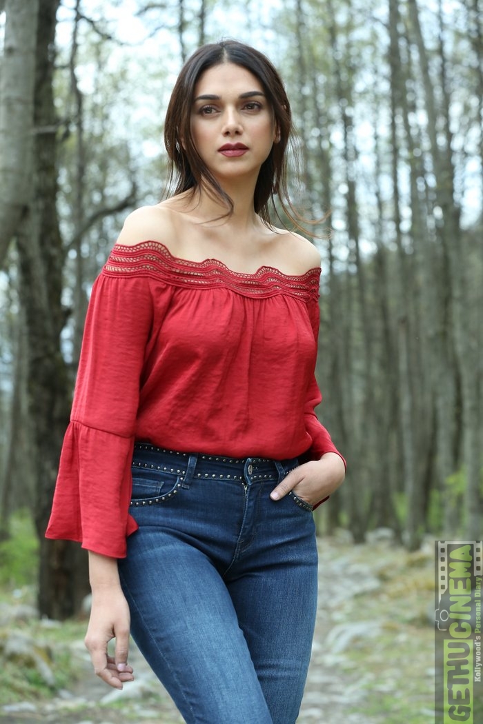 Actress Aditi Rao Hydari 2018 Photoshoot & HD Photos | Gethu Cinema