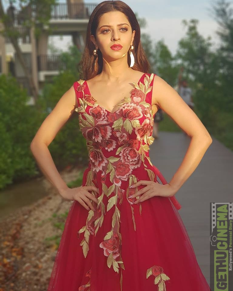 Actress Vedhika Photos in HD | Social Media Photos and Photoshoot pics ...