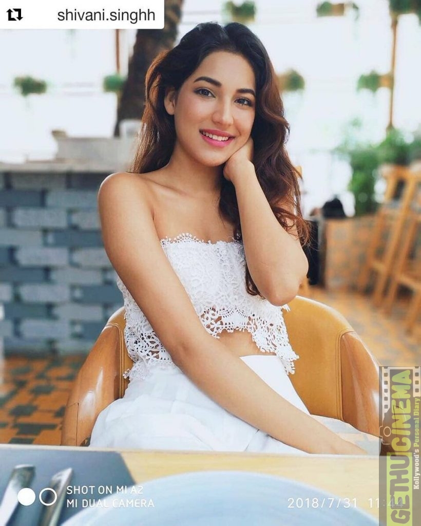 Actress Shivani Singh Latest Spicy Photo Shoot Gallery - Gethu Cinema