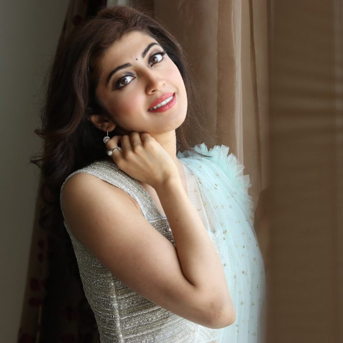 Actress Pranitha Subhash 2018 Latest HD Gallery | Gethu Cinema