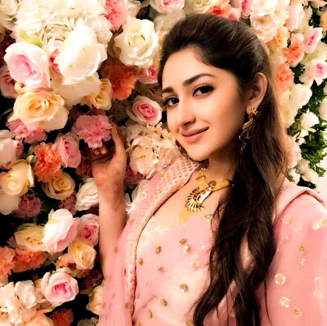 Actress Sayyeshaa 2018 Latest HD Gallery - Gethu Cinema