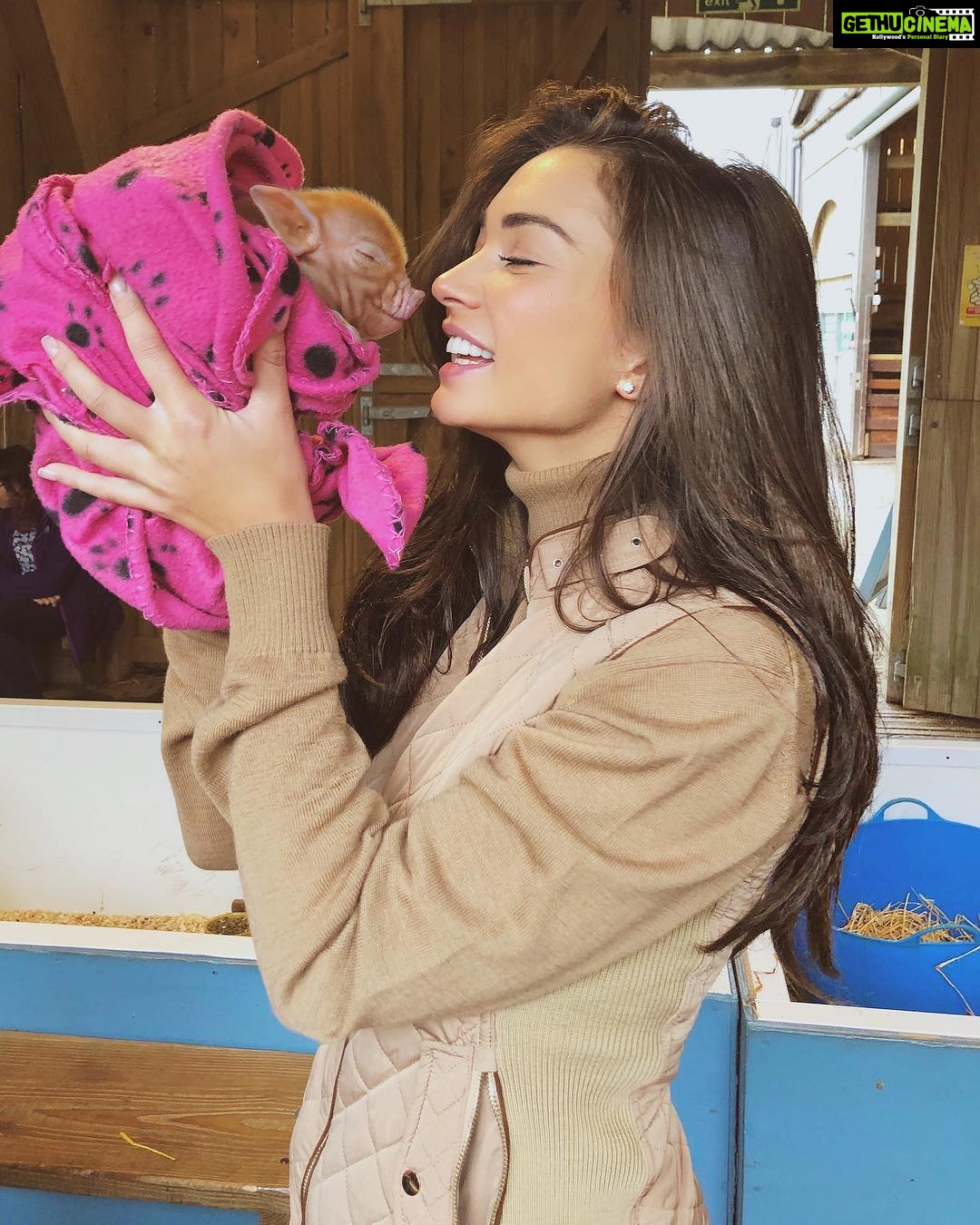 Actress Amy Jackson Sizzling Gallery - Gethu Cinema