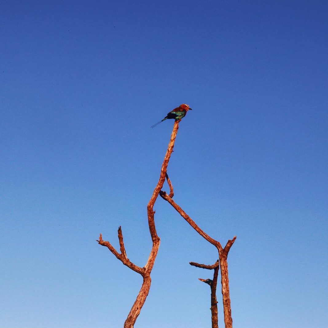 Actress Amy Jackson Instagram Photos and Posts January 2019 | Gethu Cinema