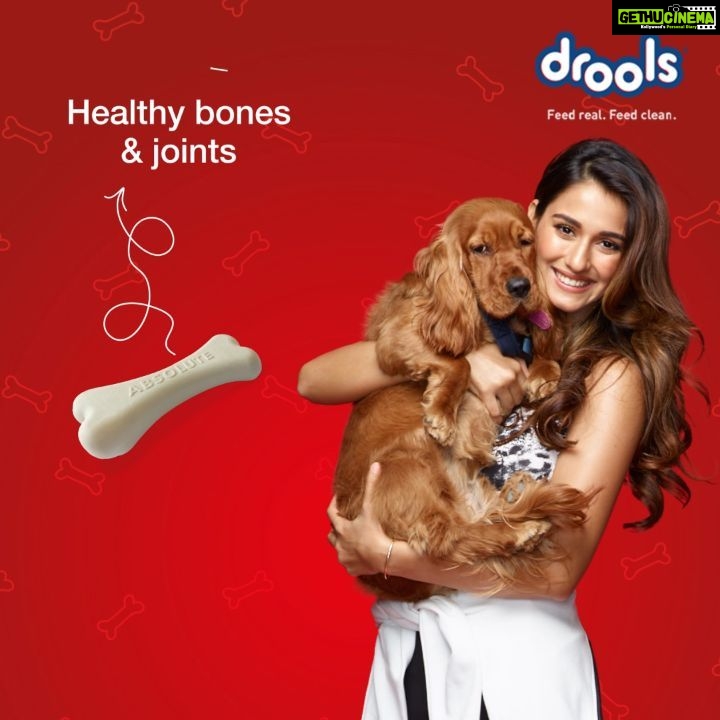 Disha Patani Instagram – @droolsindia is my pick to reward my pooch for ...
