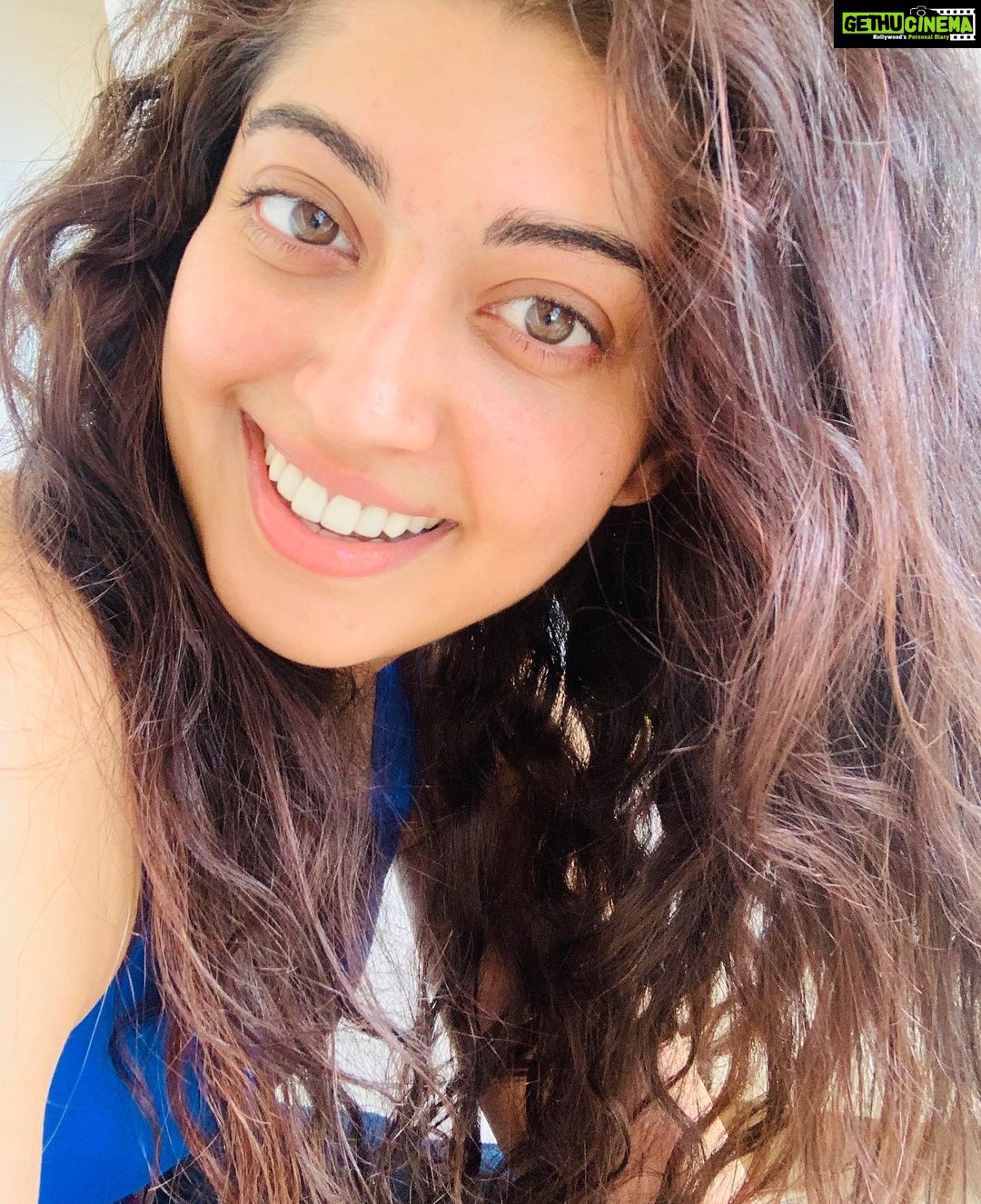 Pranitha Subhash Instagram – #SinglesDay today ! Here’s wishing all you ...