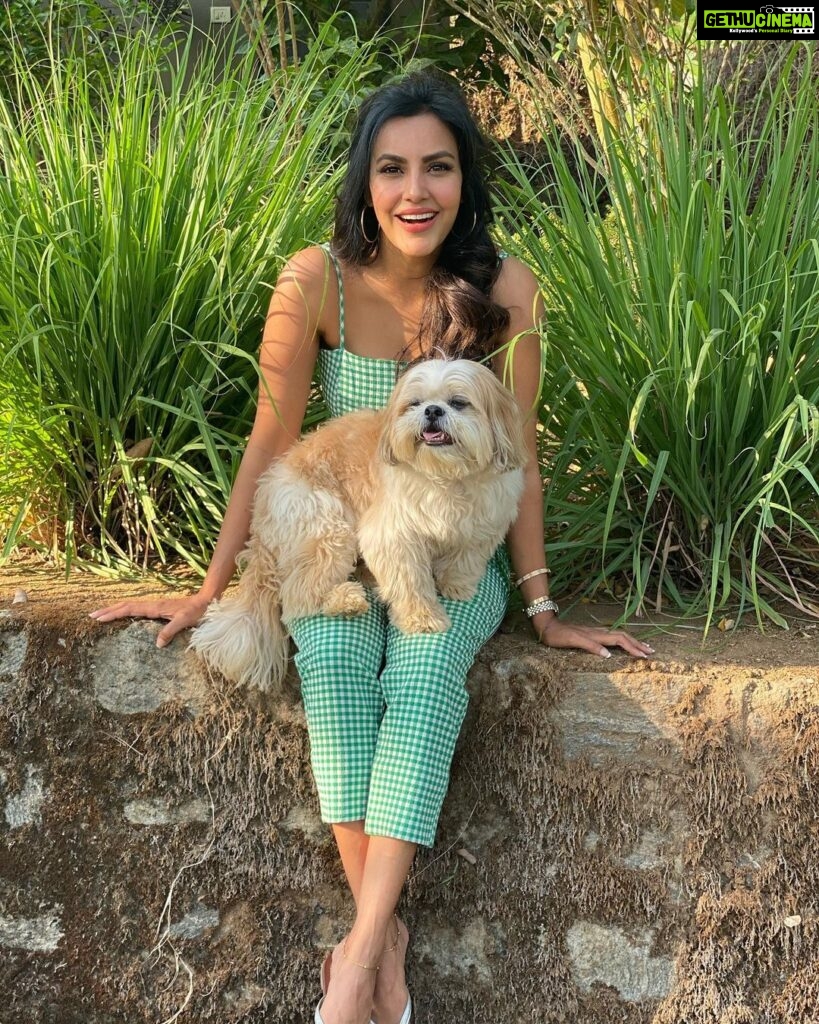 Actress Priya Anand Instagram Photos and Posts – August 2021 | Gethu Cinema