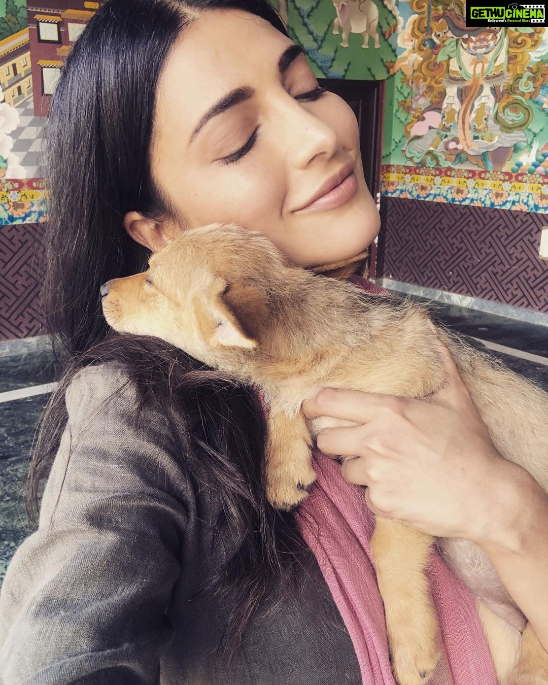 Shruti Haasan Instagram – PURE JOY | Gethu Cinema