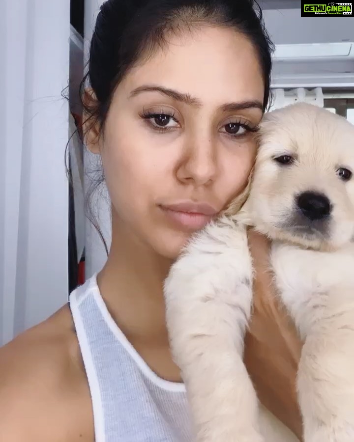 Sonam Bajwa Instagram - ¢σмιиg ѕσσи... - Gethu Cinema
