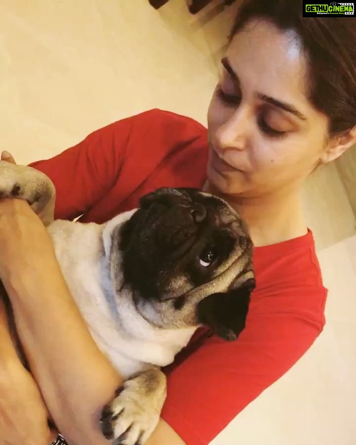 Dipika Kakar Instagram – While I am sitting free at home, I pester him ...