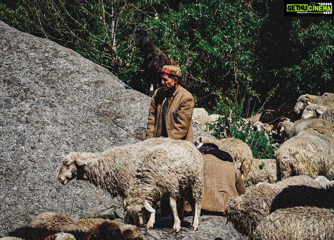 Fatima Sana Shaikh Instagram – #throwback #dharamshala | Gethu Cinema