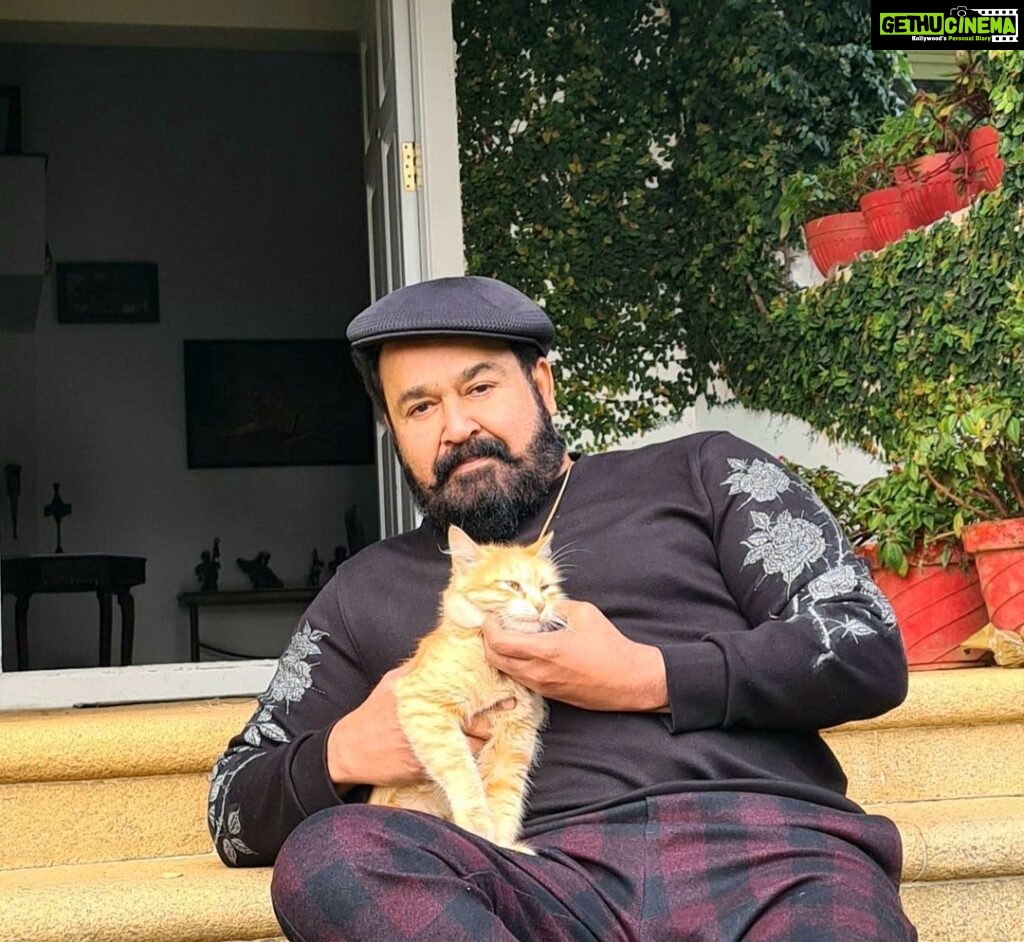 Actor Mohanlal HD Instagram Photos and Wallpapers February 2021 | Gethu ...