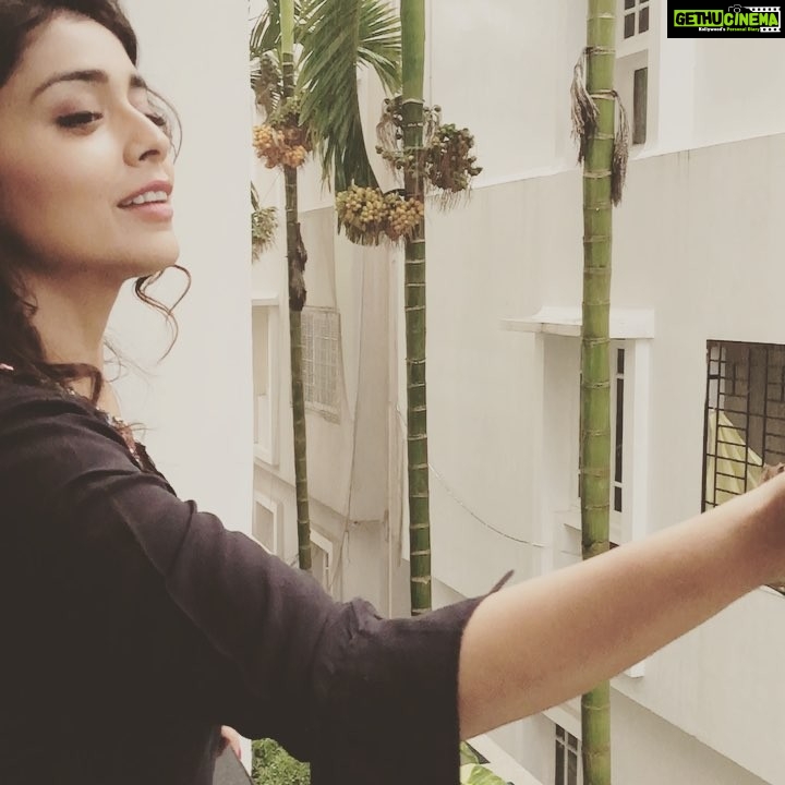 Shriya Saran Instagram – Good morning ! It rained unexpectedly ...