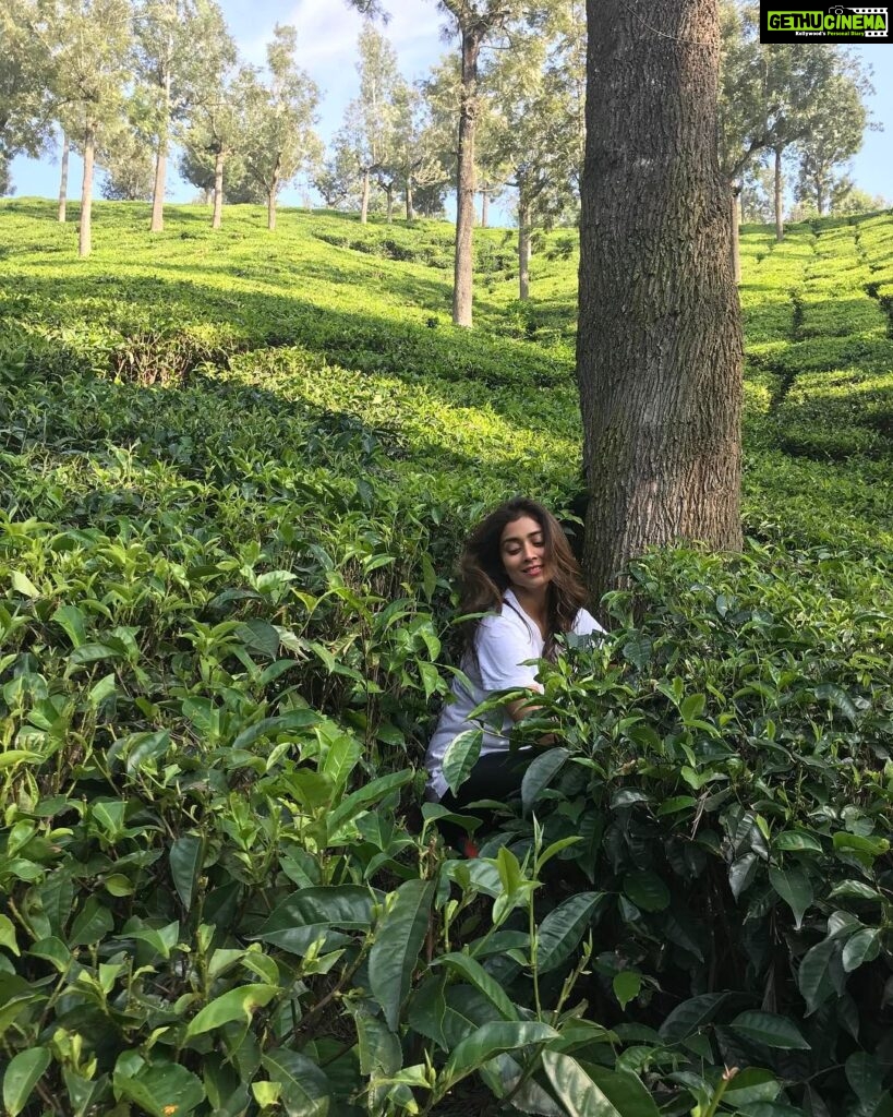 Actress Shriya Saran Instagram Photos and Posts December 2021 | Gethu ...