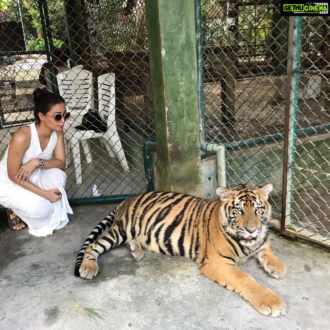Gajala Instagram – The strongest ones in the world are the ones who ...