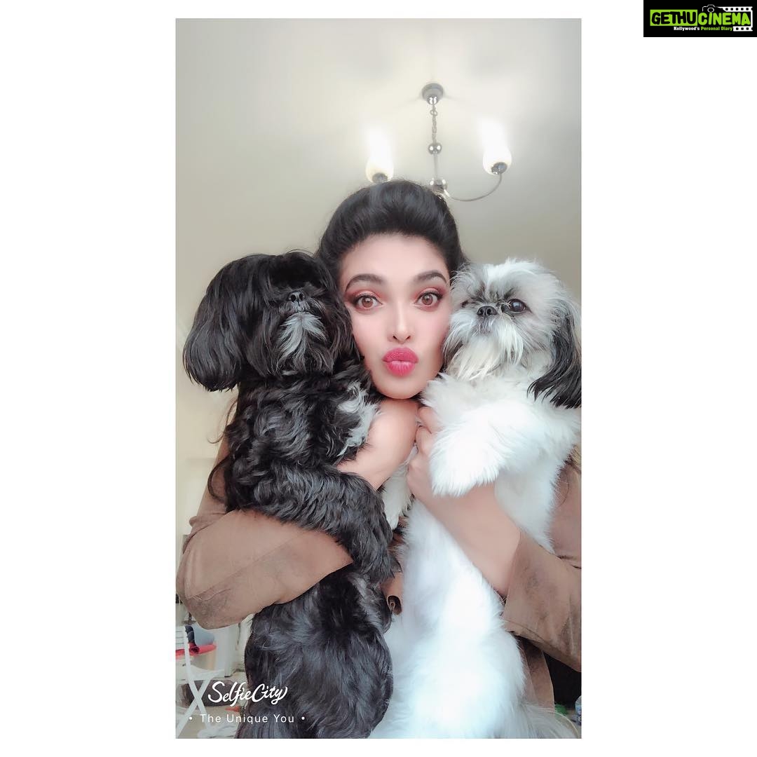 Ishaara Nair Instagram – My love doses #puppies #myworld #love # ...