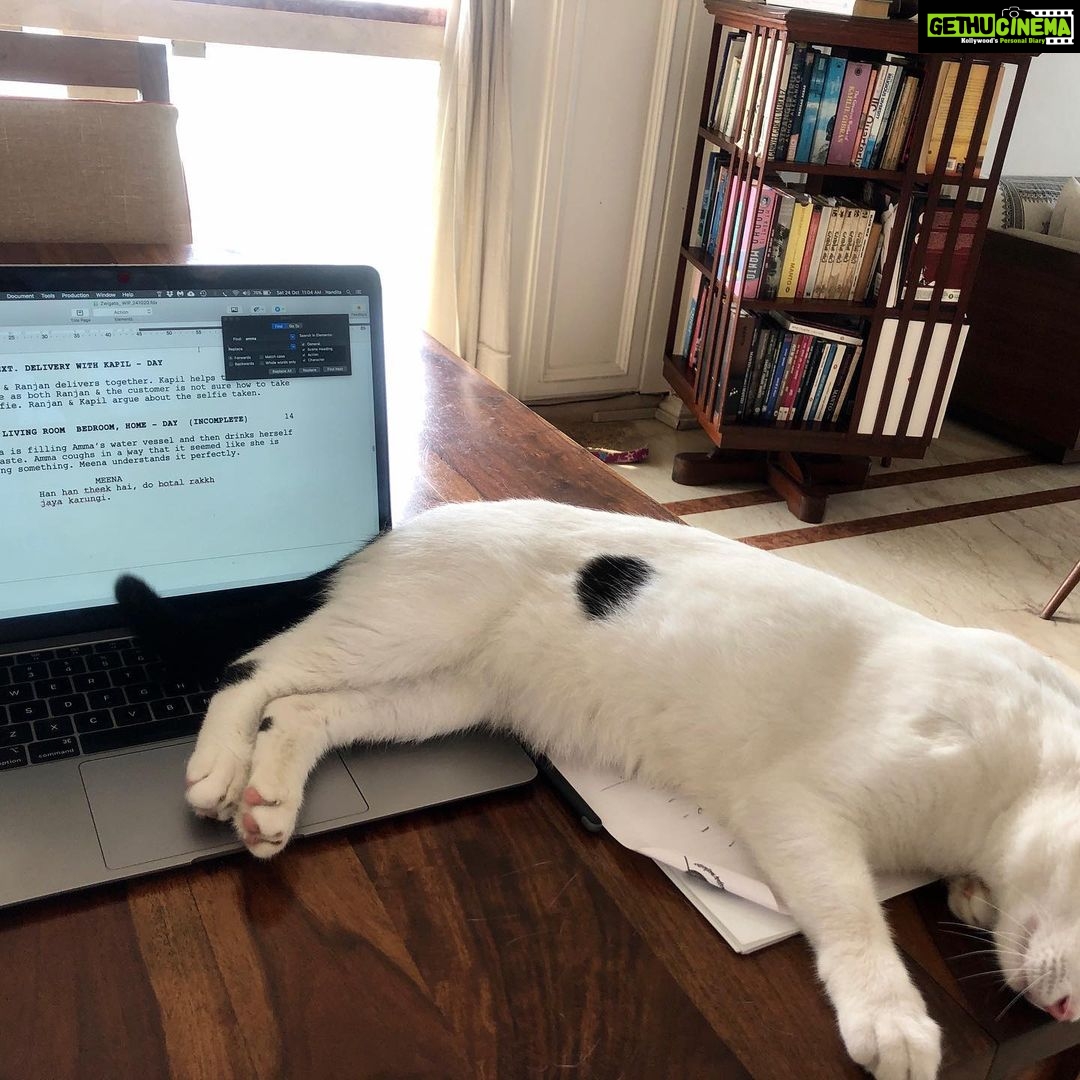 Nandita Das Instagram – She is script writing with me #cat | Gethu Cinema