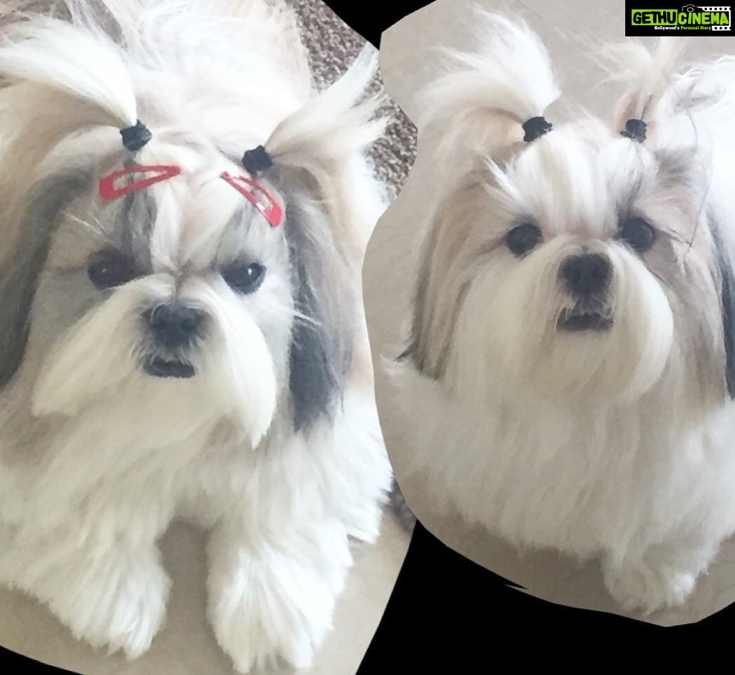 Shweta Bhardwaj Instagram – #its ur day and ur mom is on her way i love ...