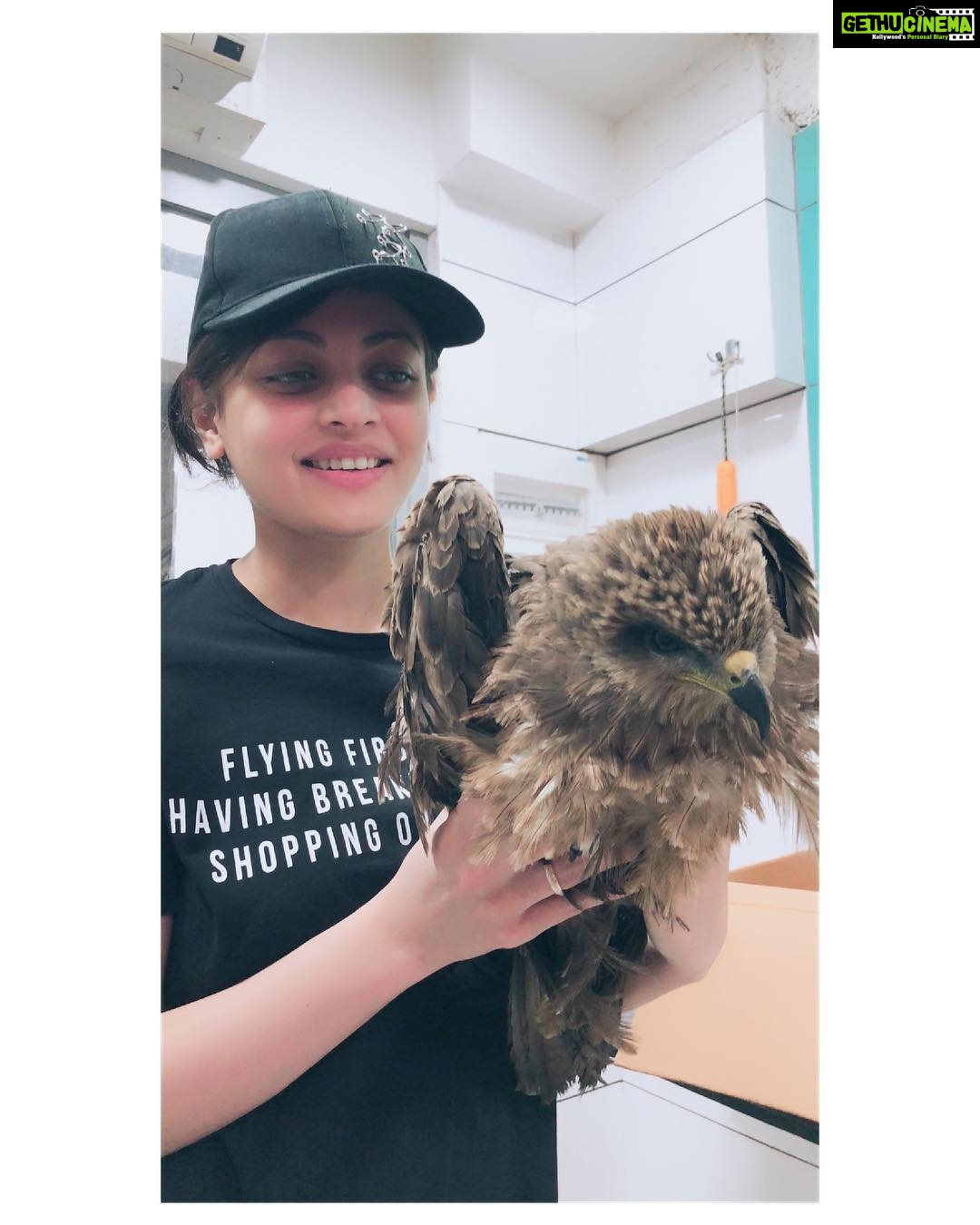 Sneha Ullal Instagram – An epic moment for me.Rescuing this beautiful ...