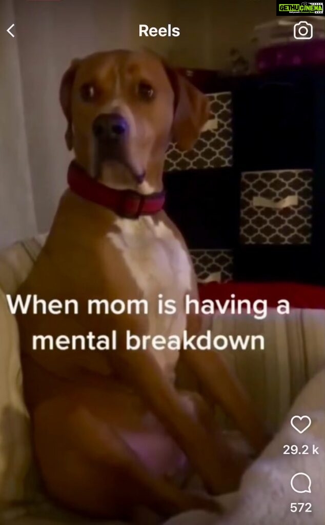 Actor R. Madhavan HD Photos and Wallpapers June 2022 - Gethu Cinema