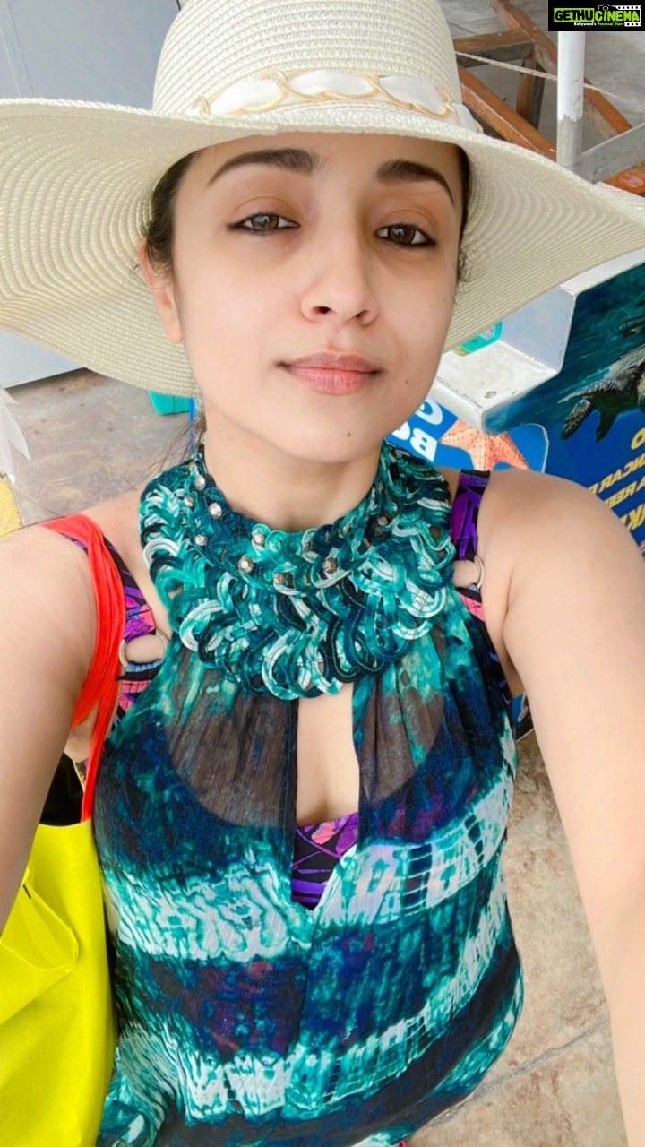 Trisha Instagram – Honoured to be back with the Pothys family🥰 | Gethu ...