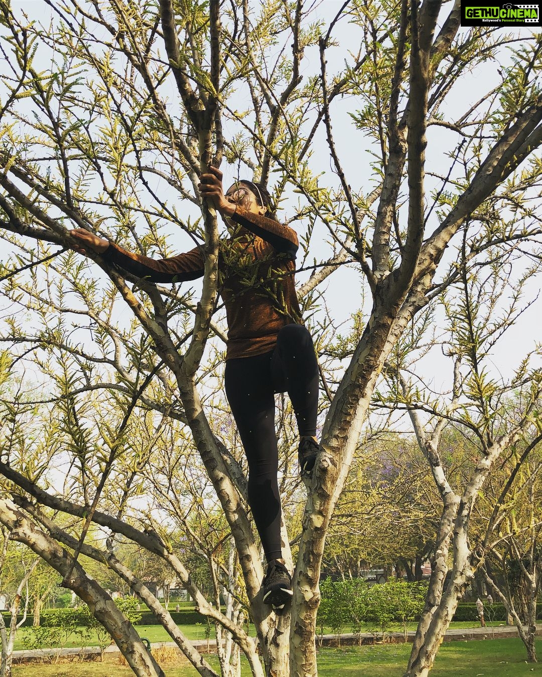 Bhumi Pednekar Instagram – Latest obsession..climbing trees 🏻#friday # ...