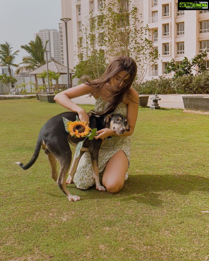 Actress Erica Fernandes HD Instagram Photos and Wallpapers June 2022 ...