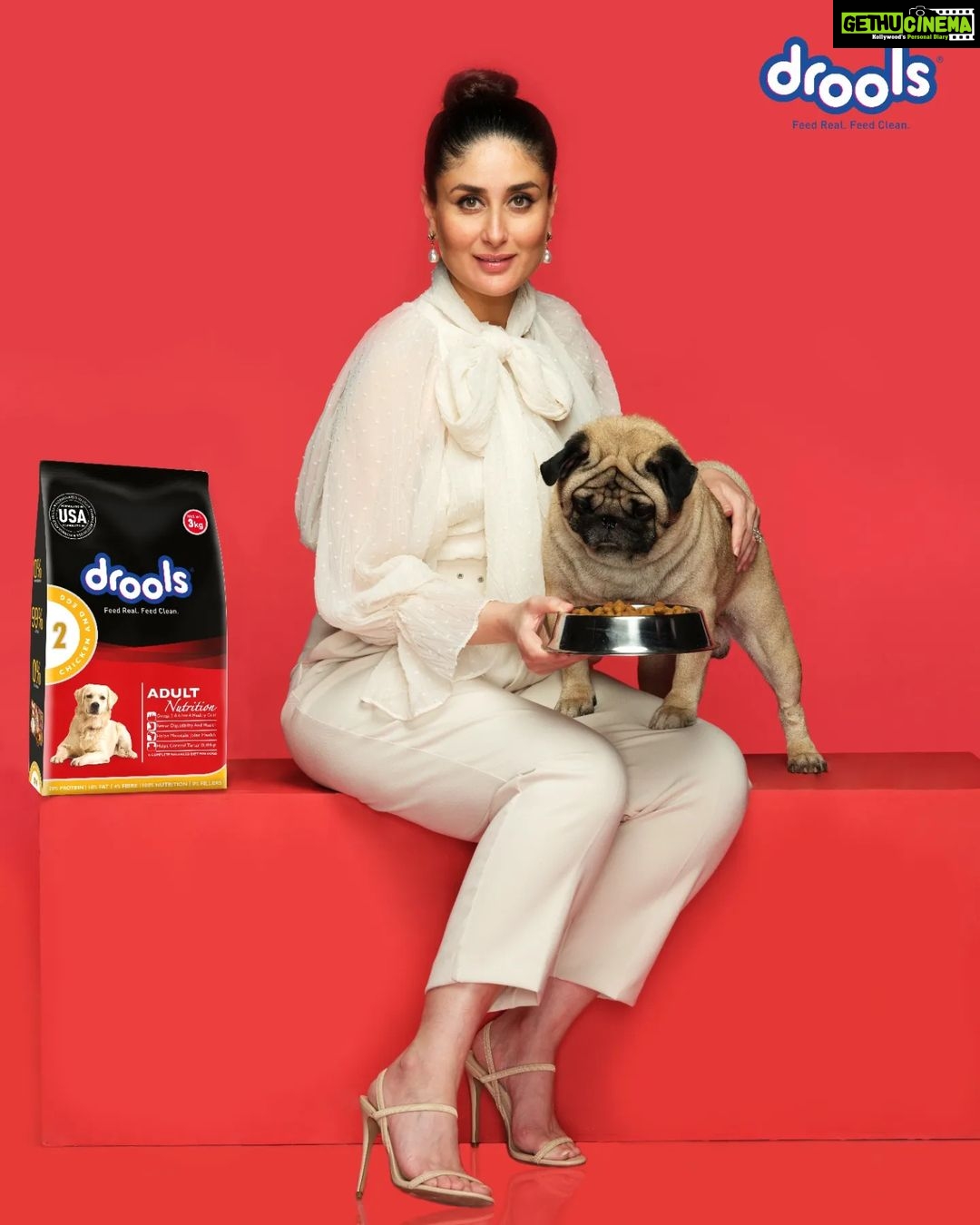 Actress Kareena Kapoor HD Photos and Wallpapers August 2022 - Gethu Cinema