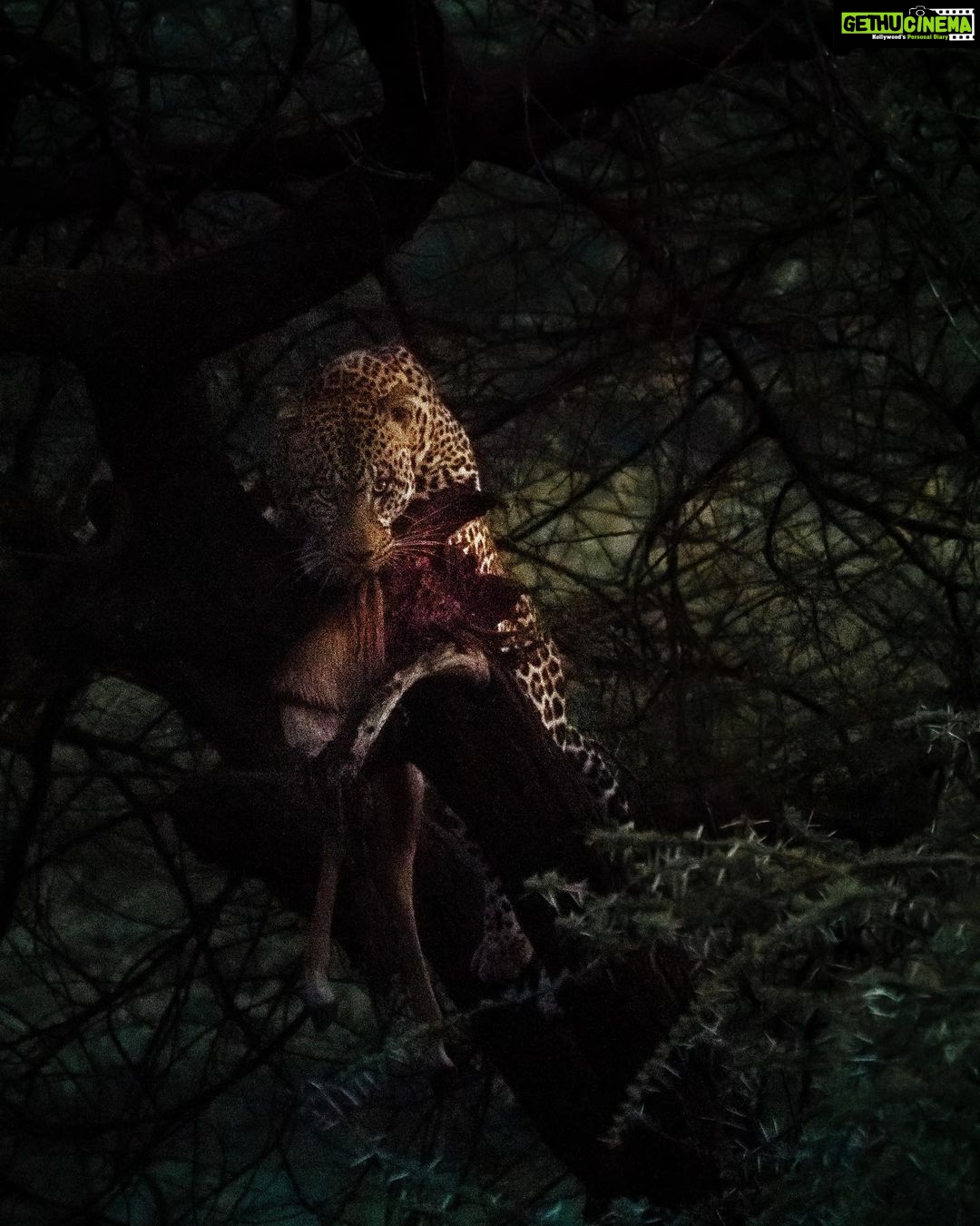 Malavika Mohanan Instagram – It was dusk and we were heading back to ...