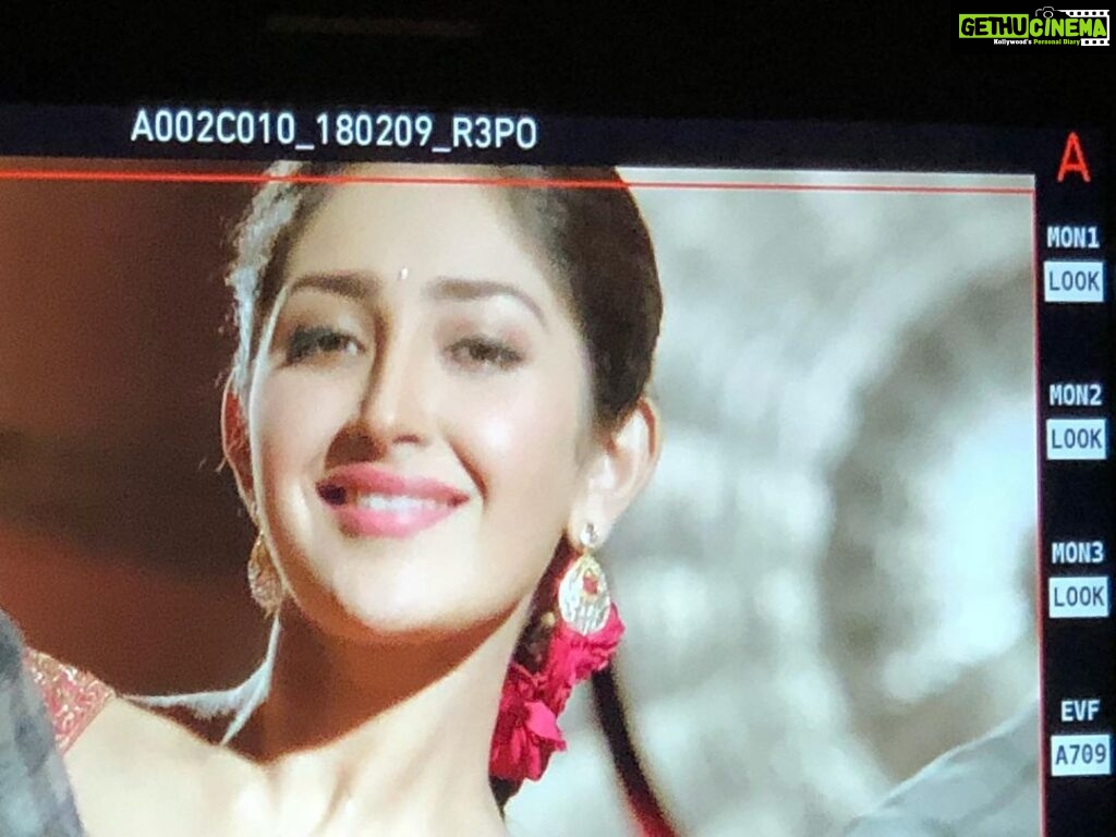 Actress Sayyeshaa Saigal HD Photos and Wallpapers July 2022 - Gethu Cinema