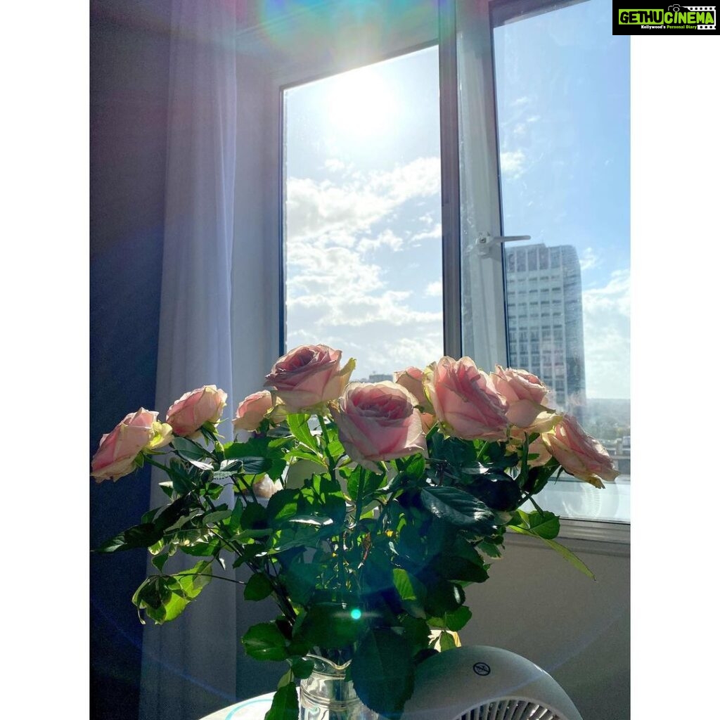 Aishwarya Lekshmi Instagram - Ah the places i have been and the windows ...